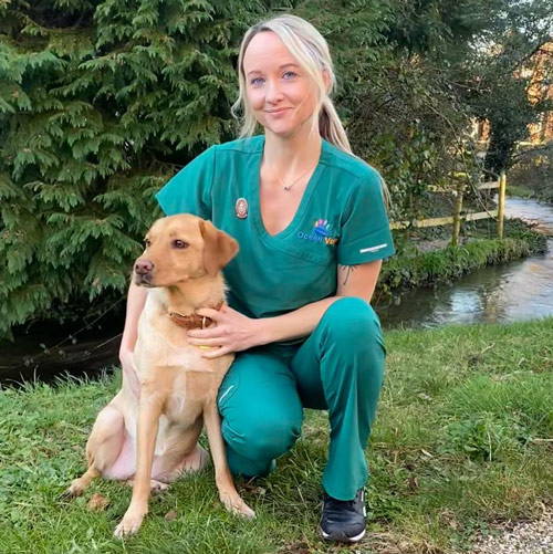 A little about us... | Ocean Vets