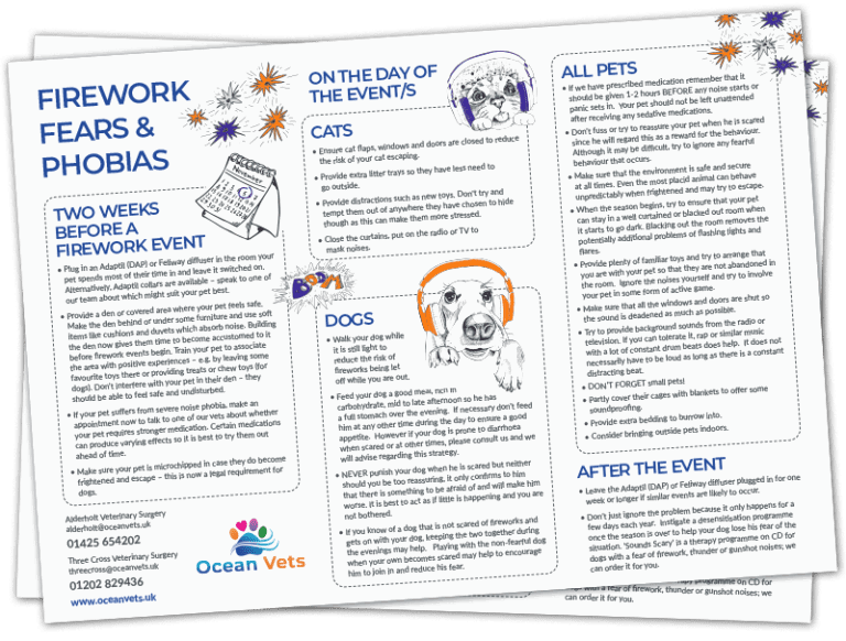 Pets and Fireworks: FREE Safety Guide - Ocean Vets