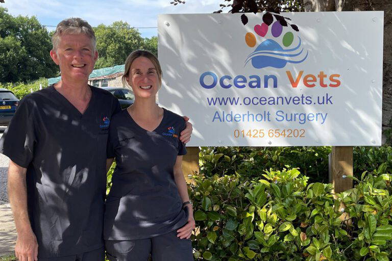 Why Choose Ocean Vets in Alderholt & Three Legged Cross